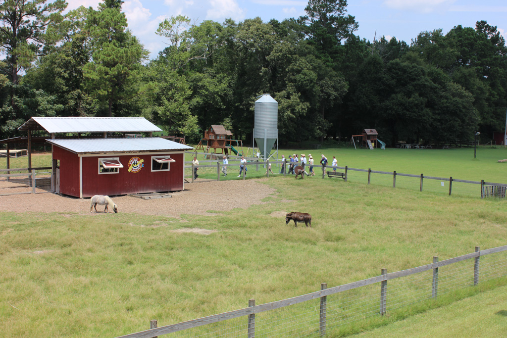Farm Photos - Hunter Cattle